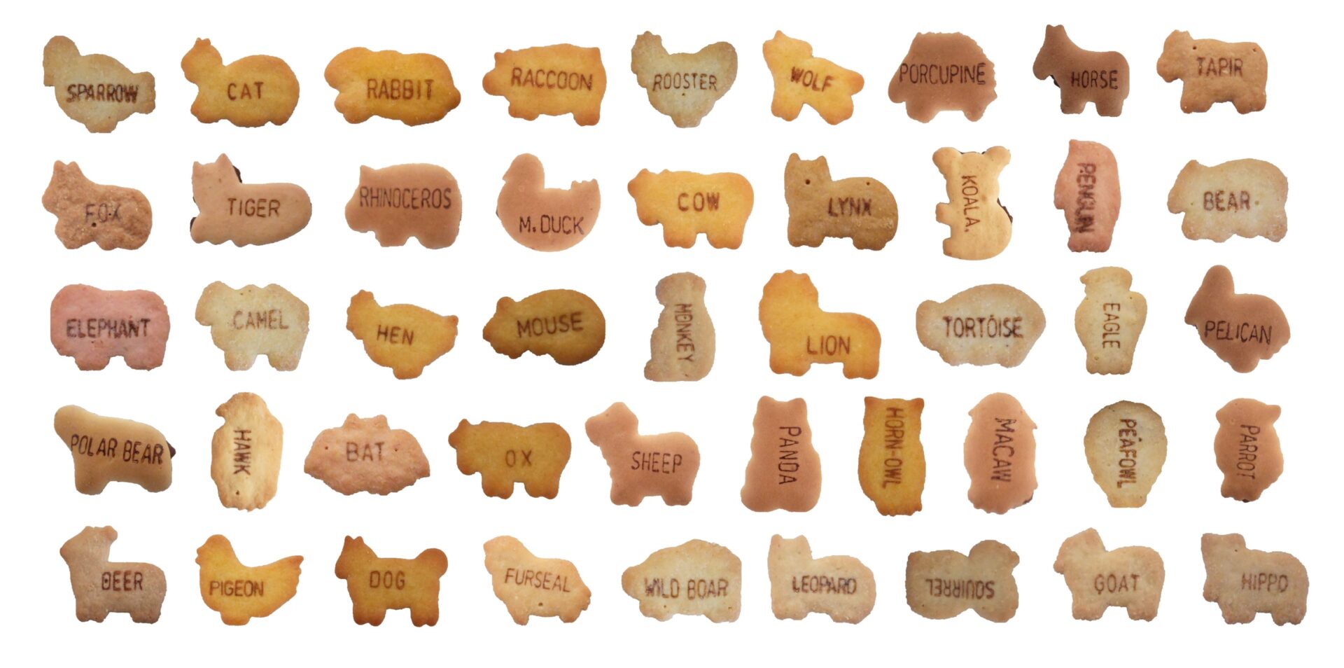 たべっ子どうぶつ味一覧！定番から限定まで全種紹介【2024年最新】 | tkg35 blog.