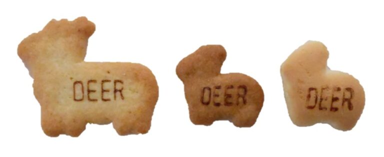 たべっ子どうぶつ動物一覧！全47種を写真付きで紹介！ミニやグミは違う？！ | tkg35 blog.